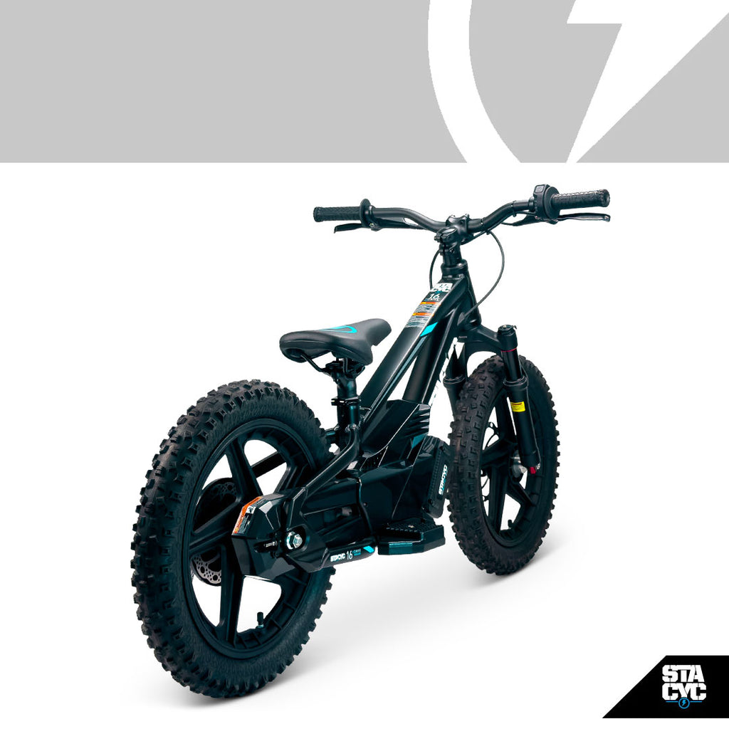 Shop STACYC Electric Stability Cycles - Electric Balance e-Bikes ...